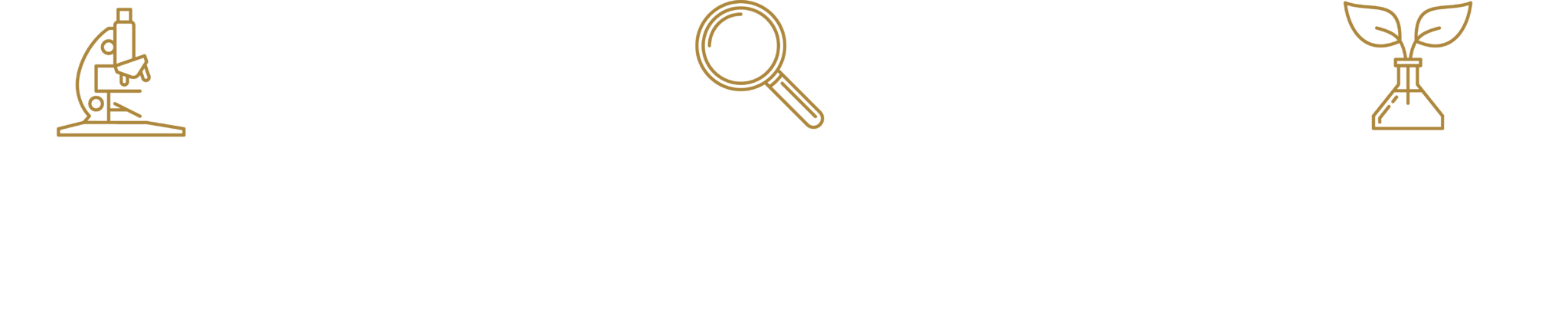 Fenben, Inc. - Solutions for a Healthier World